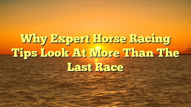 Why Expert Horse Racing Tips Look At More Than The Last Race